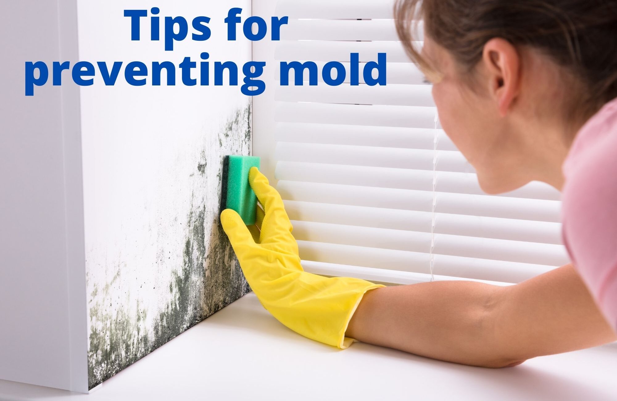 9 Mold Prevention Tips from the Best Mold Removal Company in South ...
